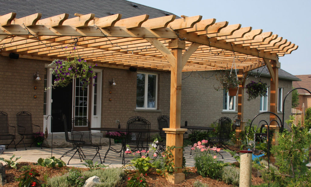 Pergola terasa: Modele - Materiale - Sfaturi intretinere - Reformex