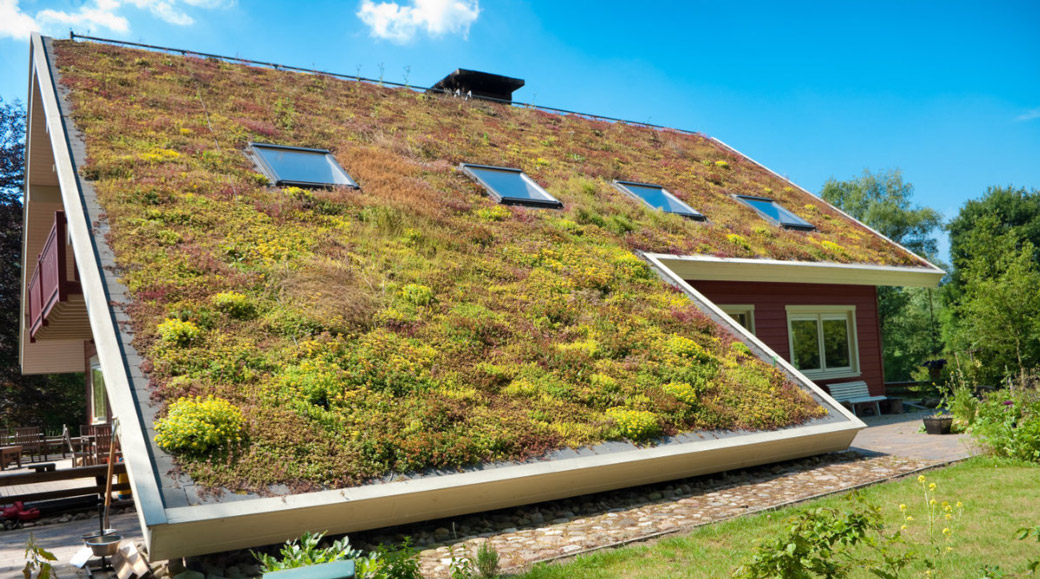 Acoperis verde: Avantaje - Etape montaj - Utilizari - Reformex
