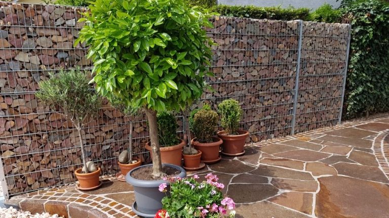 Gard gabioane: Tip materiale - Executie - Costuri | Reformex