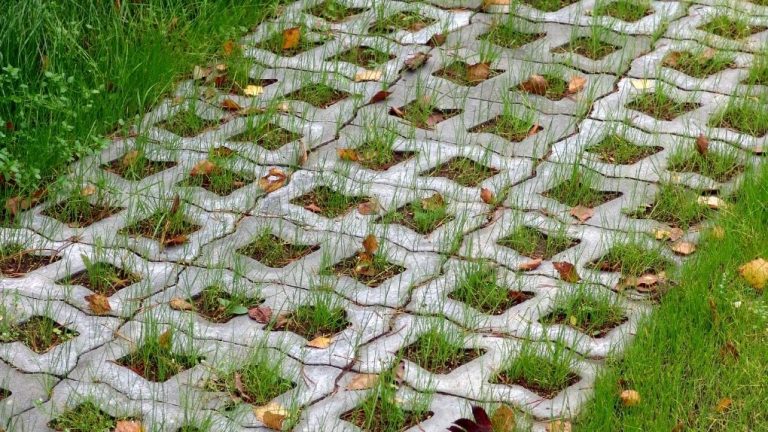 Pavaje ecologice: Tipuri - Executie - Avantaje - Costuri | Reformex