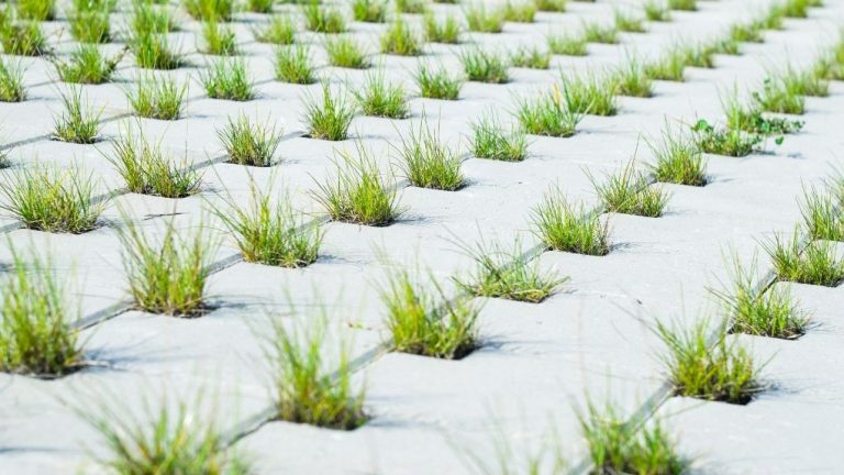 Pavaje ecologice: Tipuri - Executie - Avantaje - Costuri | Reformex